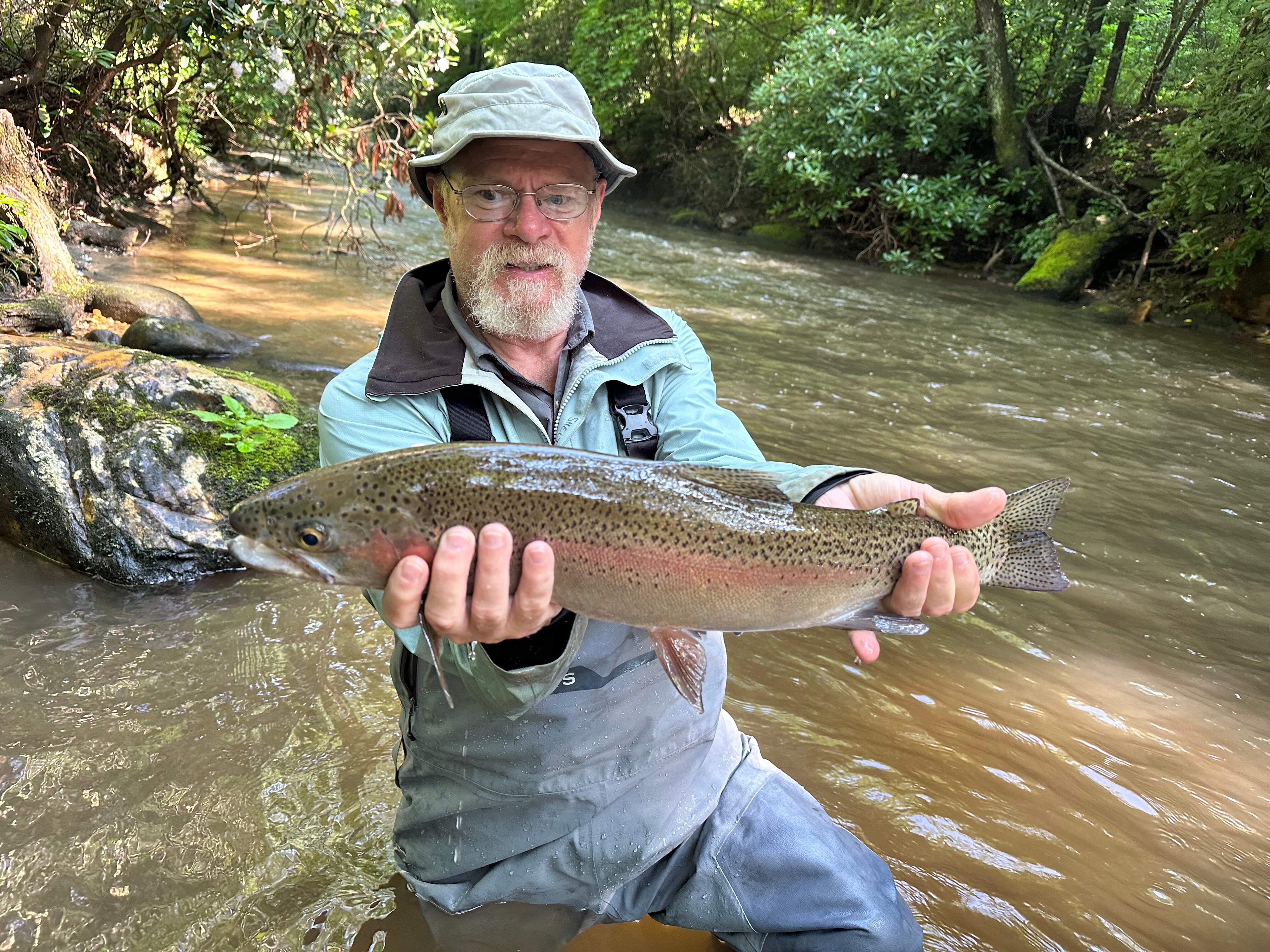 Summer Water Temperatures and How They Affect Trout. - Noontootla Creek ...