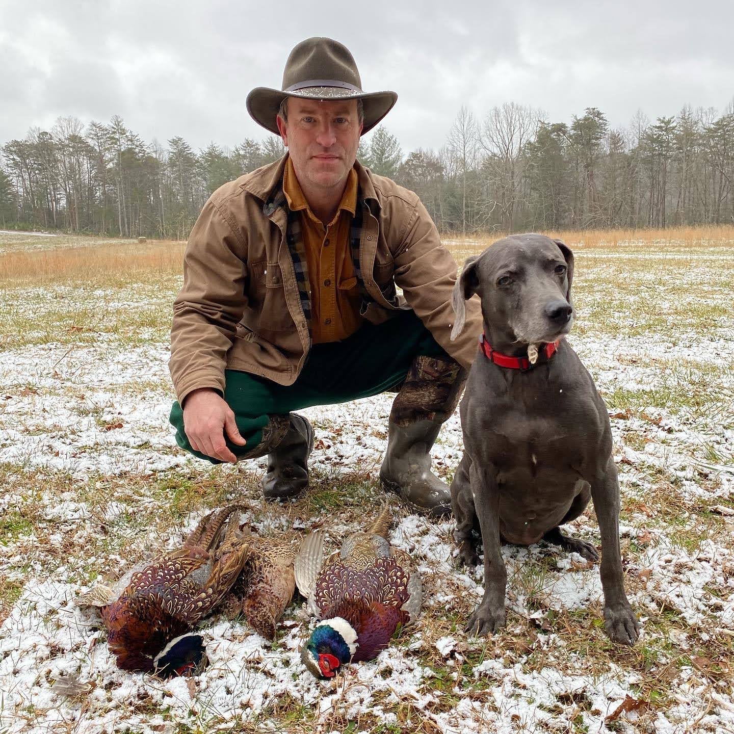 Quail Hunting Season in North Georgia: Experience the Thrill at ...
